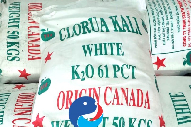 Công dụng và tác dụng của clorua kali trong y học và dinh dưỡng